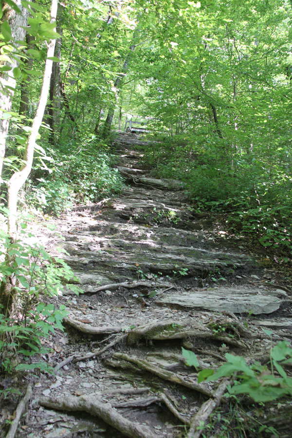 Fall Hollow Falls: Unique Stop Along the Natchez Trace Offers Brief ...