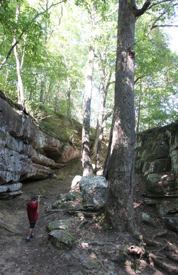 Cross the Natural Bridge: Unique Tennessee Landmark Sits Atop Monteagle ...