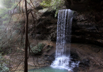 Northrup Falls: Walk Behind 60-Foot-Tall Waterfall Situated Within ...