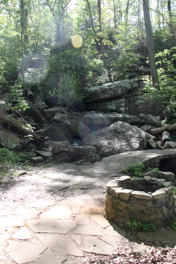 Explore the Signal Mountain Woods at Falling Water Falls and Mabbit ...