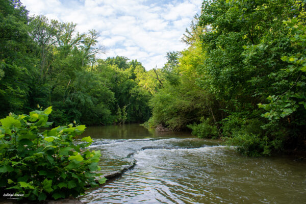 Barfield Crescent Park: Seven Miles of Hiking Trails, Access to Stones River and Greenway, Disc ...