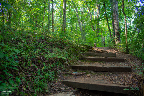 Barfield Crescent Park: Seven Miles of Hiking Trails, Access to Stones River and Greenway, Disc ...