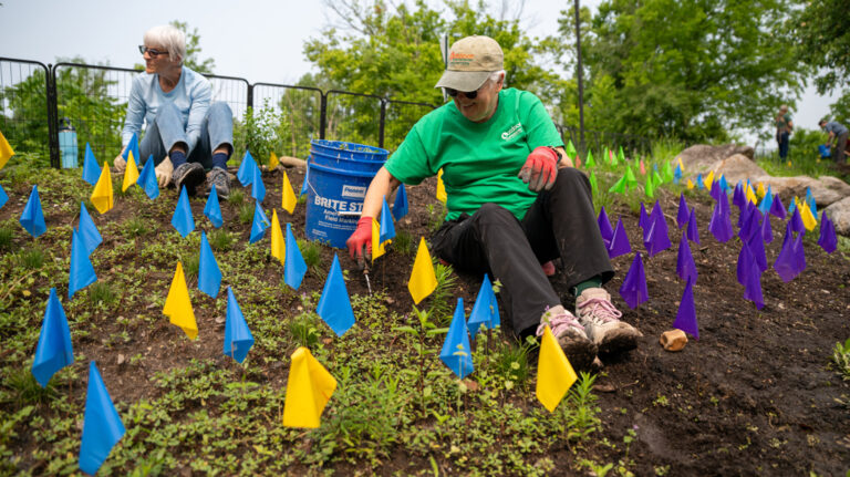 Reclaiming Its Roots: How Murfree Spring Is Returning to Nature With ...