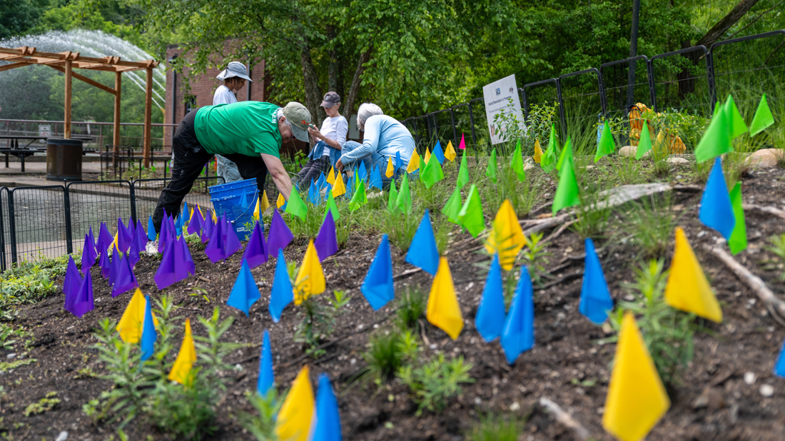 Reclaiming Its Roots: How Murfree Spring Is Returning to Nature With ...