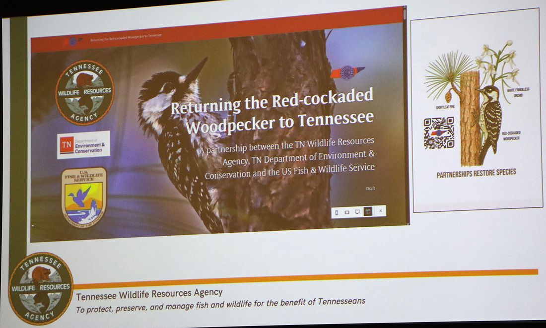Tennessee Comes Together for Its Wild Things, Biodiversity Summit ...